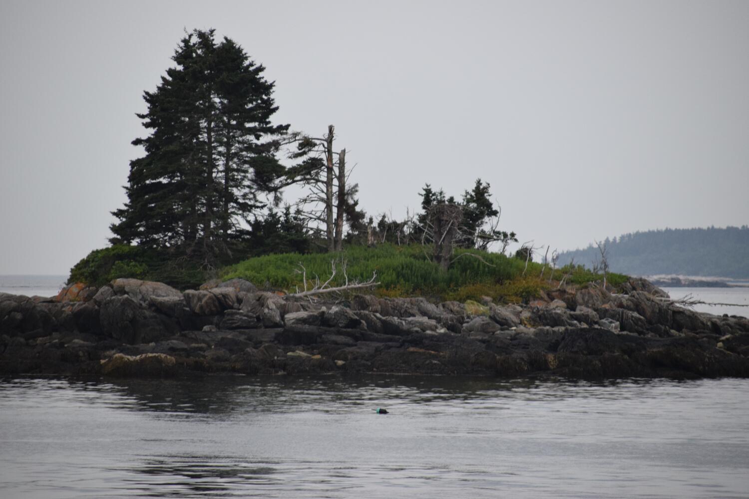 DSC_0549 – Greg Tremblay / Greg Boudreaux Audiobook Narrator